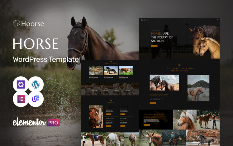 Hoorse - Horse Riding School, Horse Racing And Equestrian Center WordPress Elementor Theme #443233