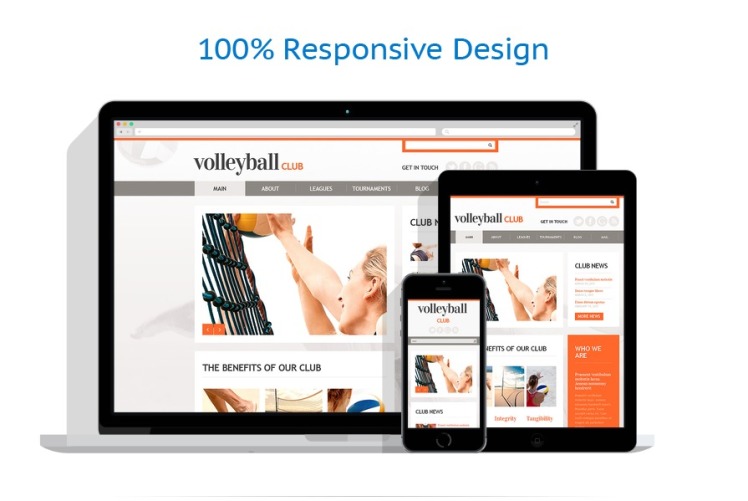 Happy Volleyball WordPress Theme #45539