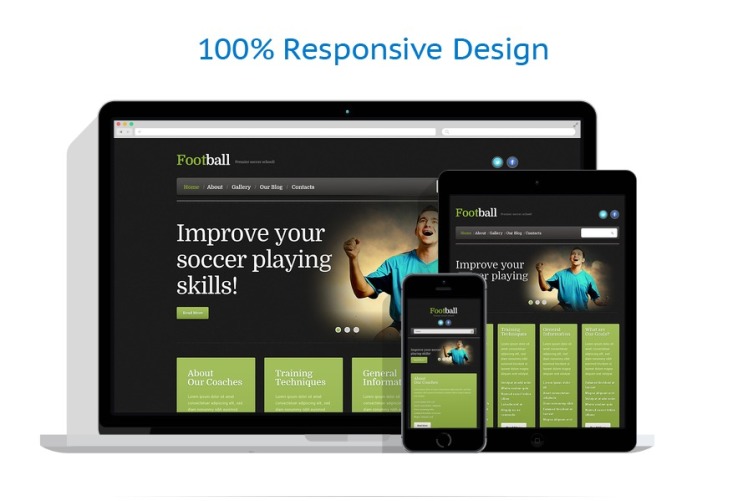 Football Responsive WordPress Theme #46387