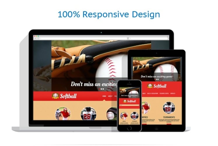 Baseball Responsive Website Template #48433