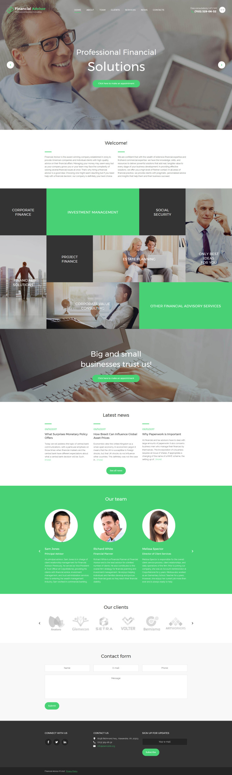 Financial Advisor Responsive Website Template #48563