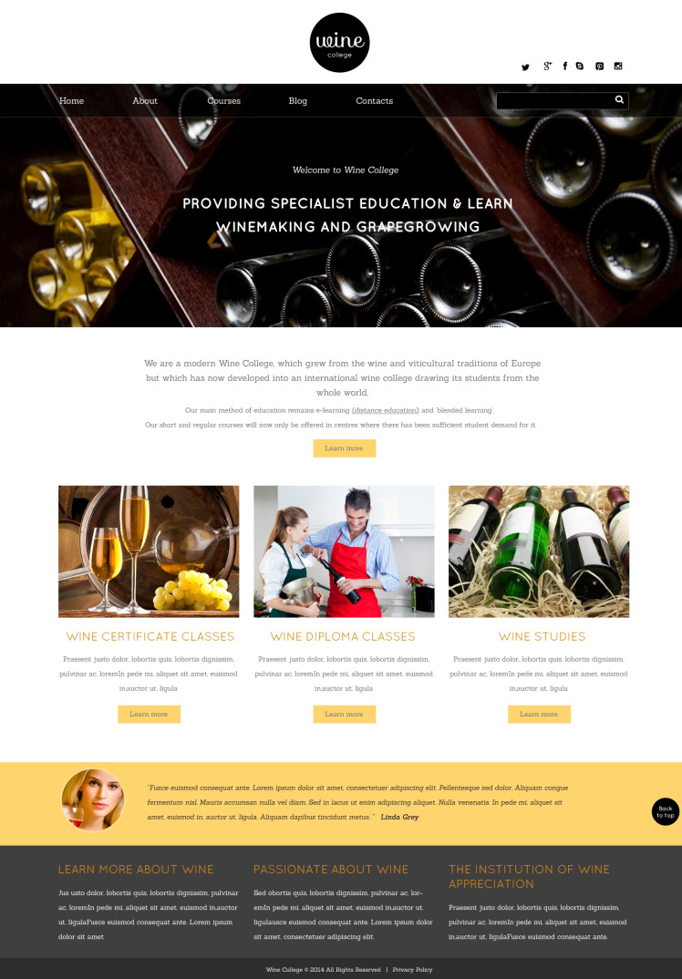 Wine Responsive Website Template #49020