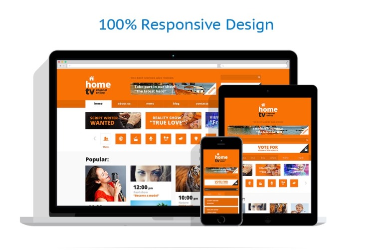 TV Channel Responsive Website Template #50098