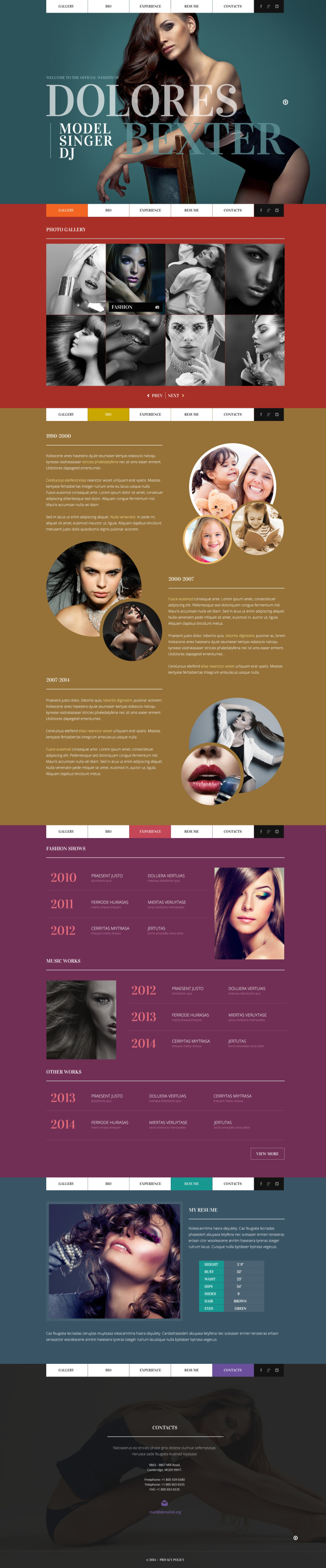 Personal Page Responsive Website Template #50778