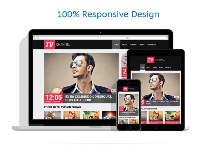 TV Channel Responsive Website Template #50750