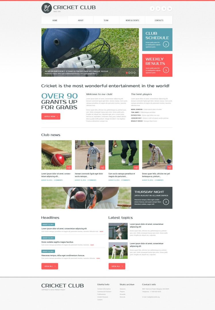 Cricket Responsive Website Template #51015