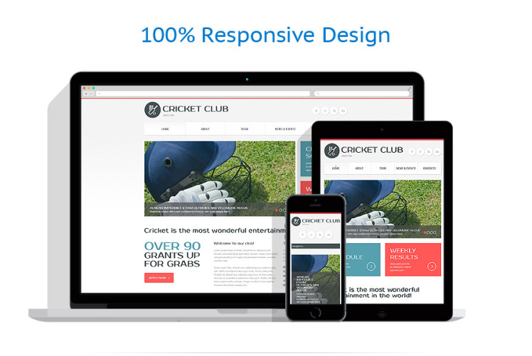 Cricket Responsive Website Template #51015