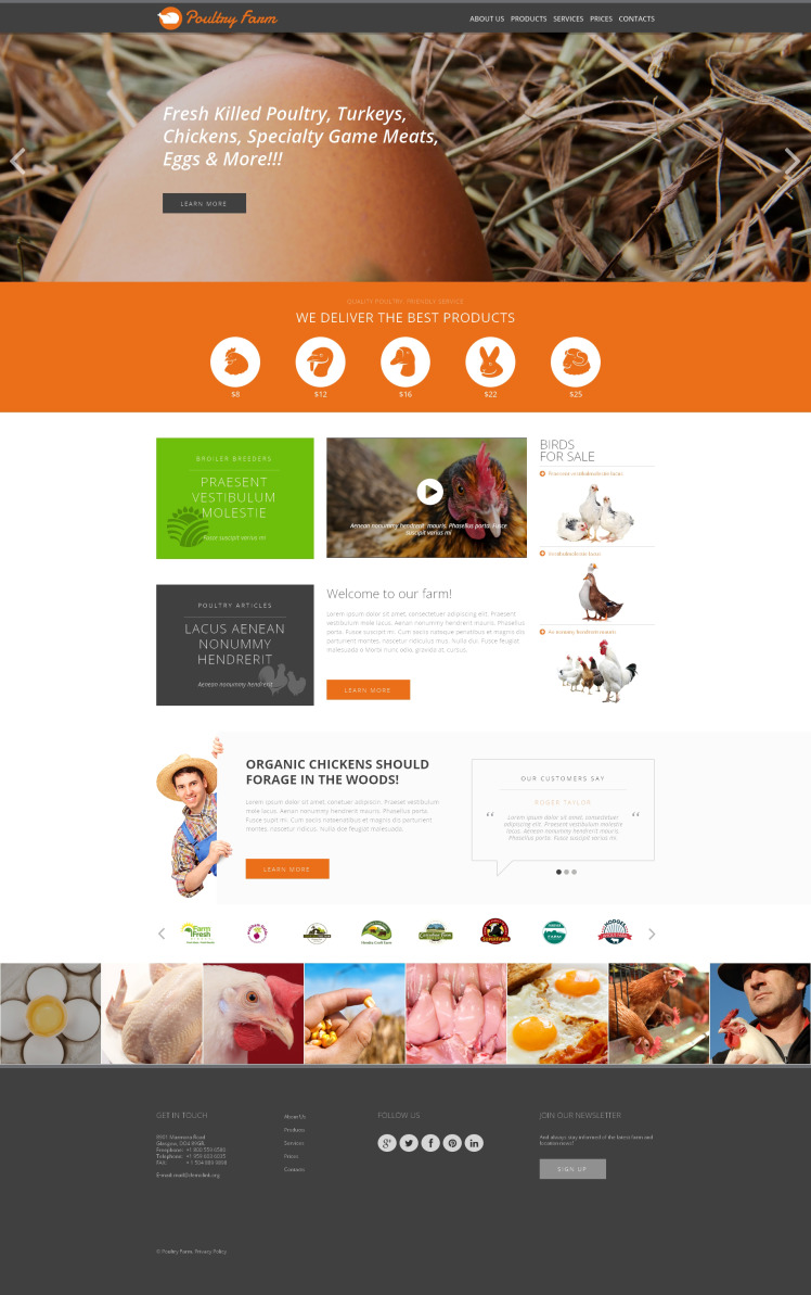 Poultry Farm Responsive Website Template #51057