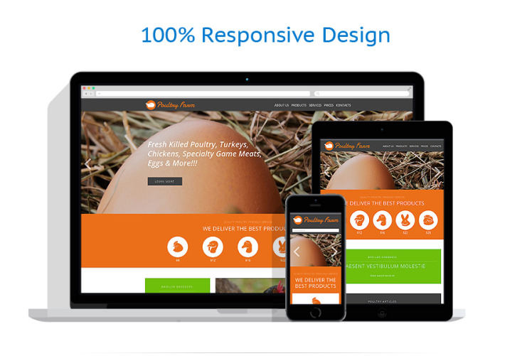 Poultry Farm Responsive Website Template #51057