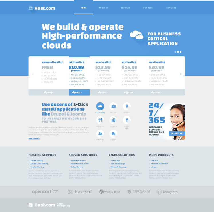 Hosting Responsive Website Template #51340