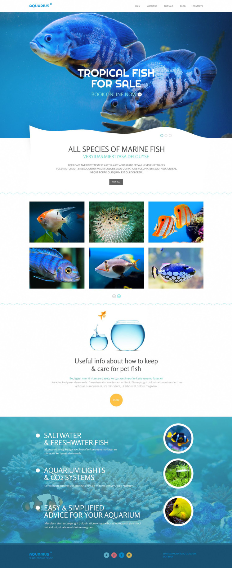 Fish Responsive Website Template #51730