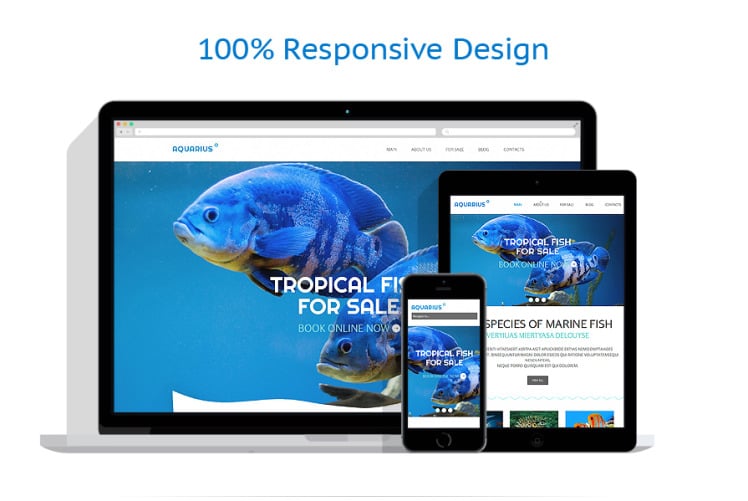 Fish Responsive Website Template #51730
