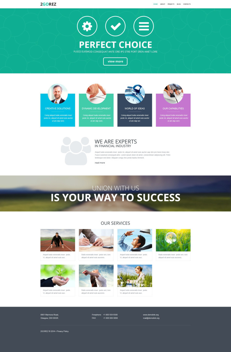 Financial Advisor Responsive WordPress Theme #52036