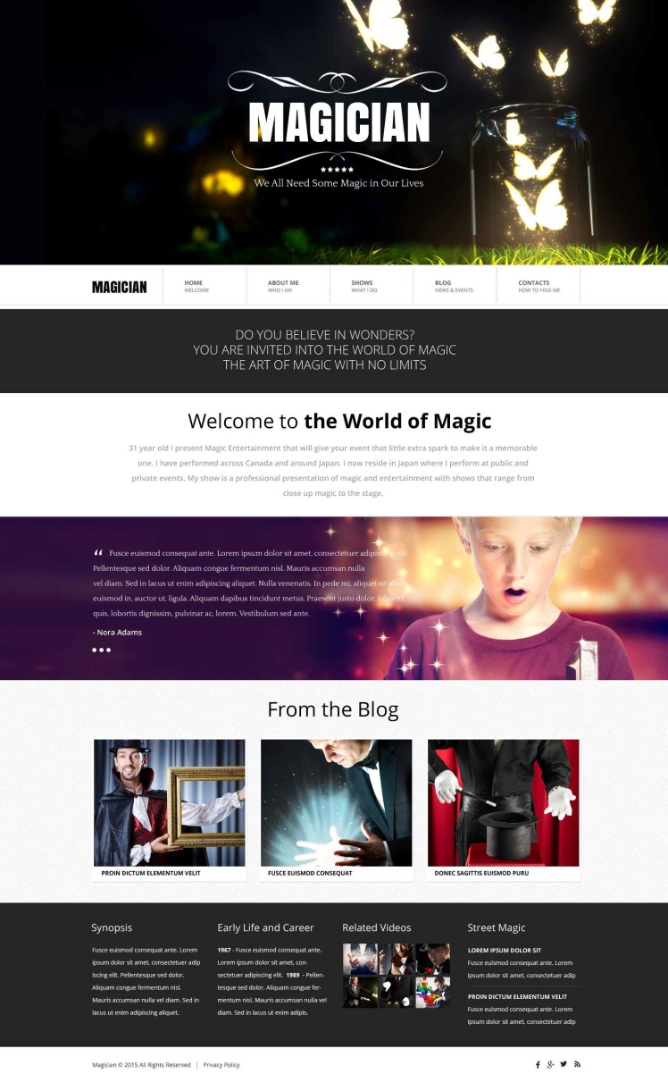 Magician Website Template #52685