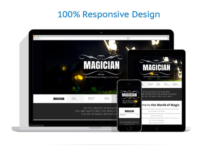 Magician Website Template #52685