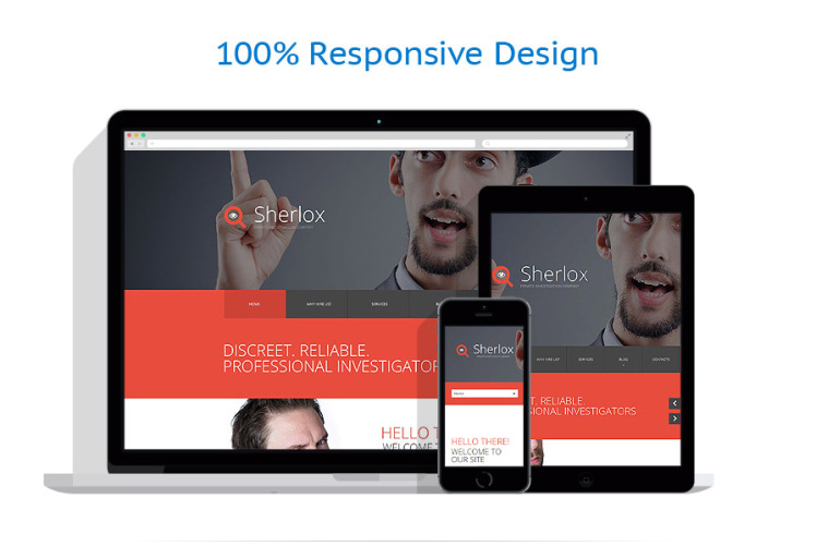 Private Investigation Website Template #52737