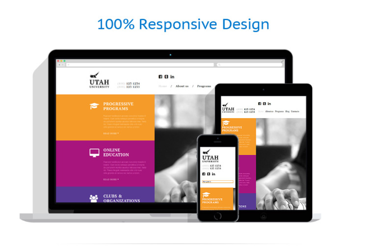 University Responsive Website Template #53158