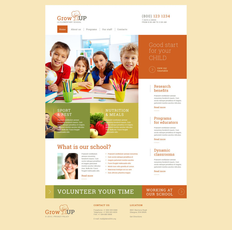 Primary School Responsive Website Template #53289