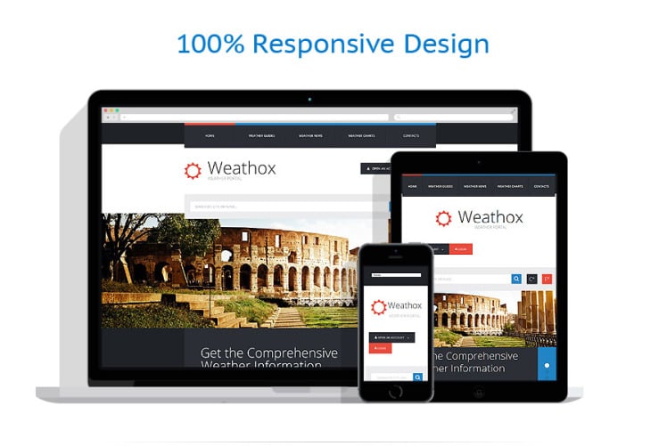 Weather Forecast Website Template #53291