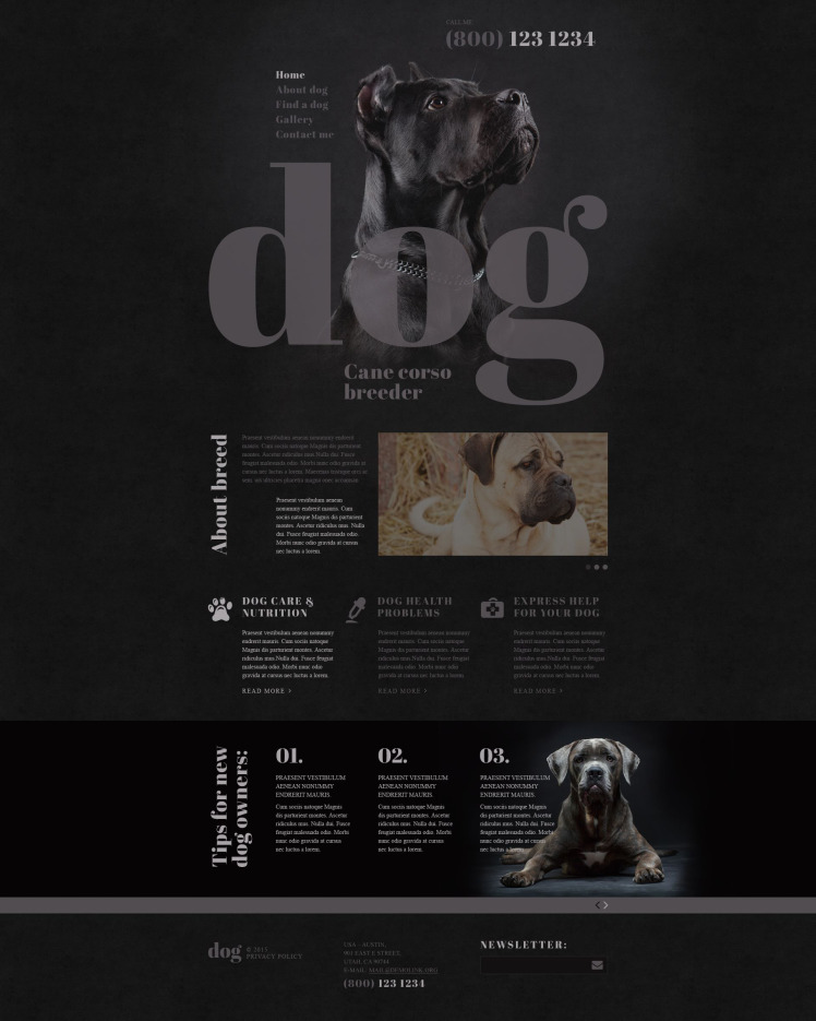 Dog Breeder Website Template #53411