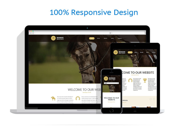 Horse Breeder Website Template #53786
