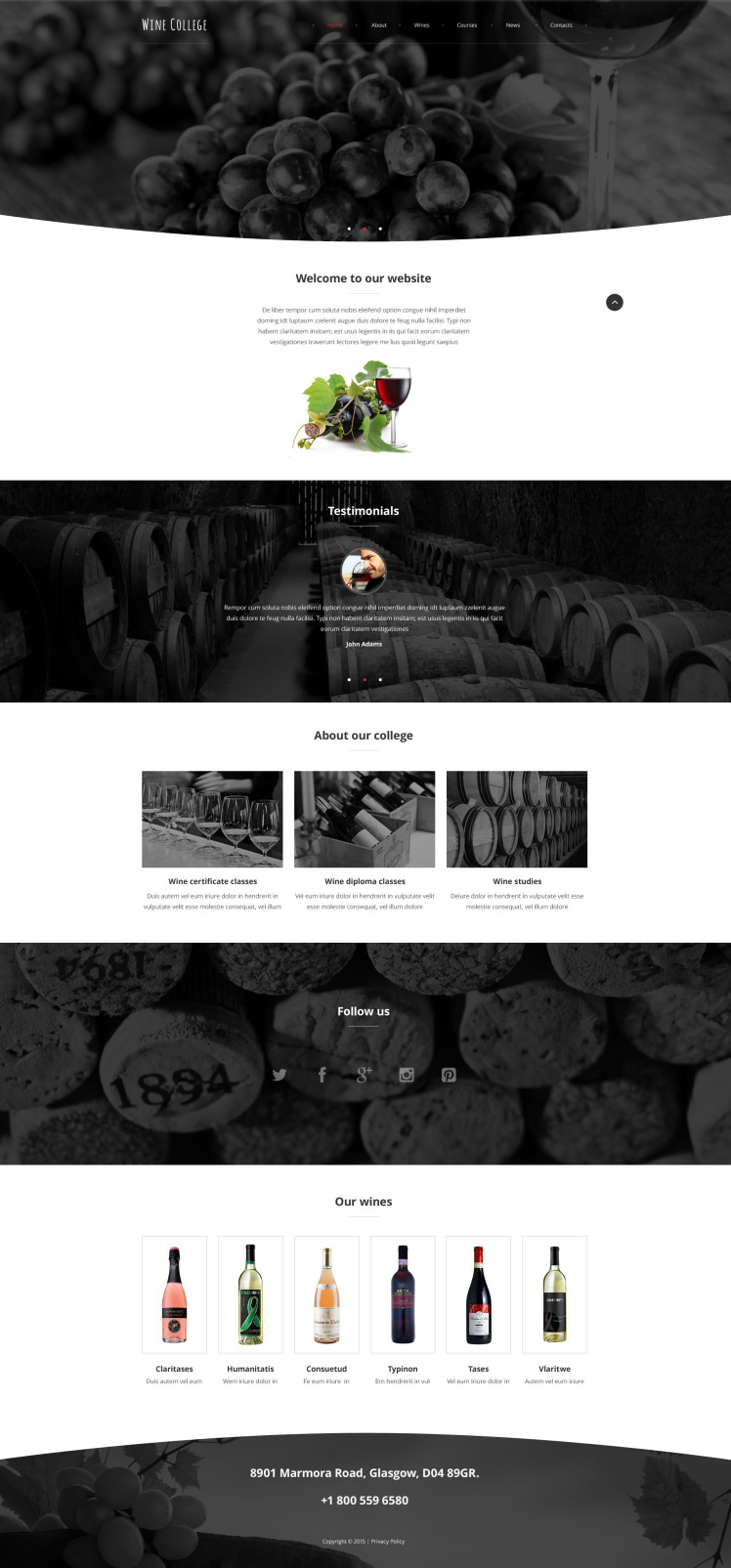 Exquisite Wine Website Template #53813