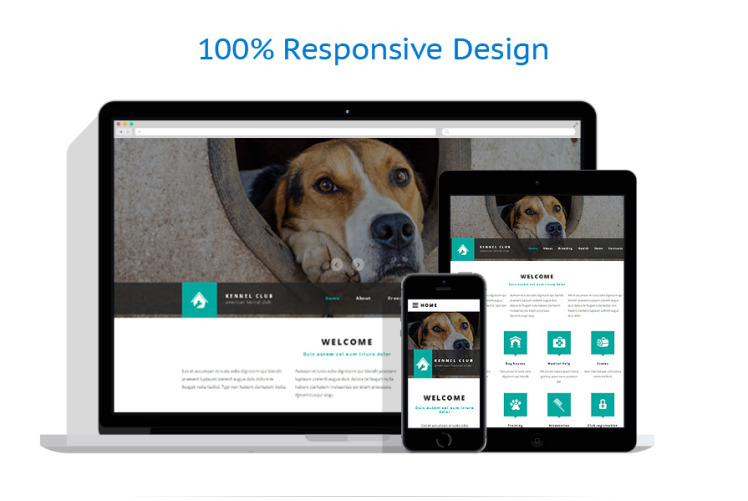 Kennel Club Website Template #54701