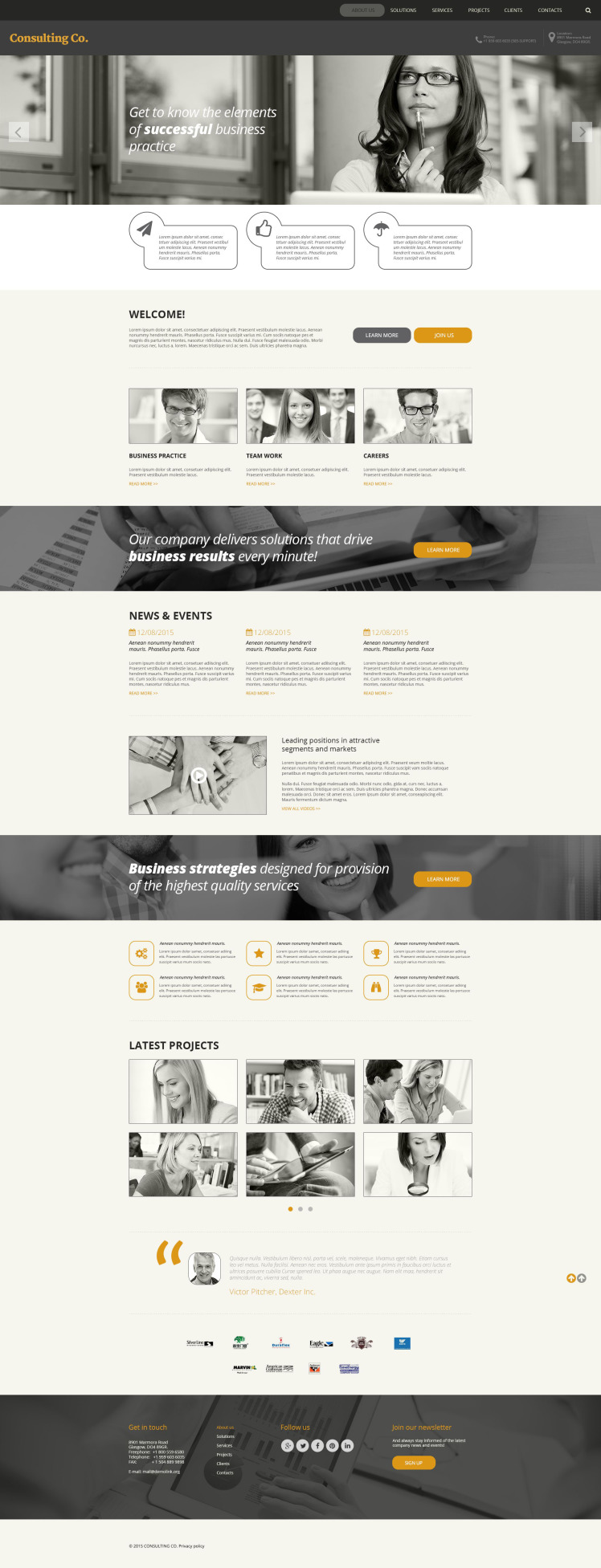 Consulting Co. Website Template #54970