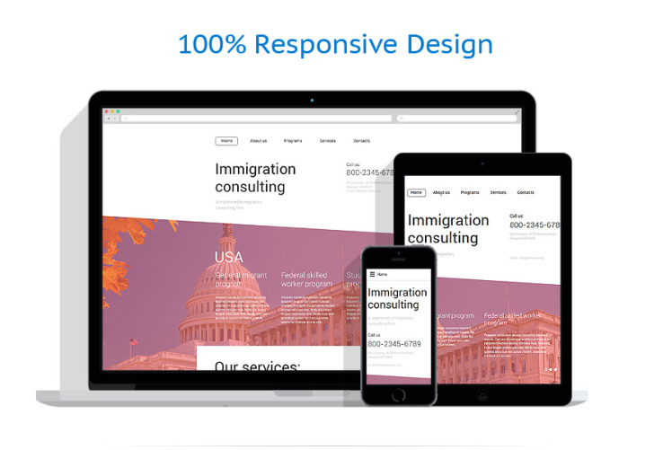 Immigration Consulting Website Template #55439