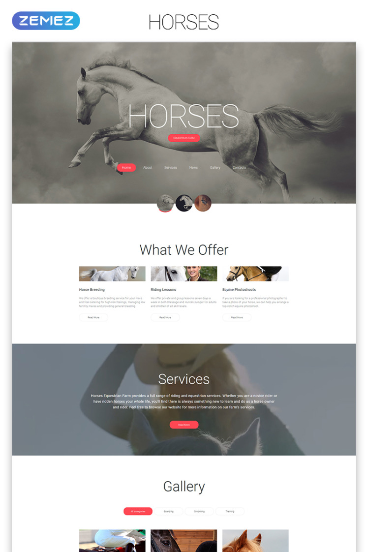 Horses - Horse Responsive Creative HTML Website Template #56066