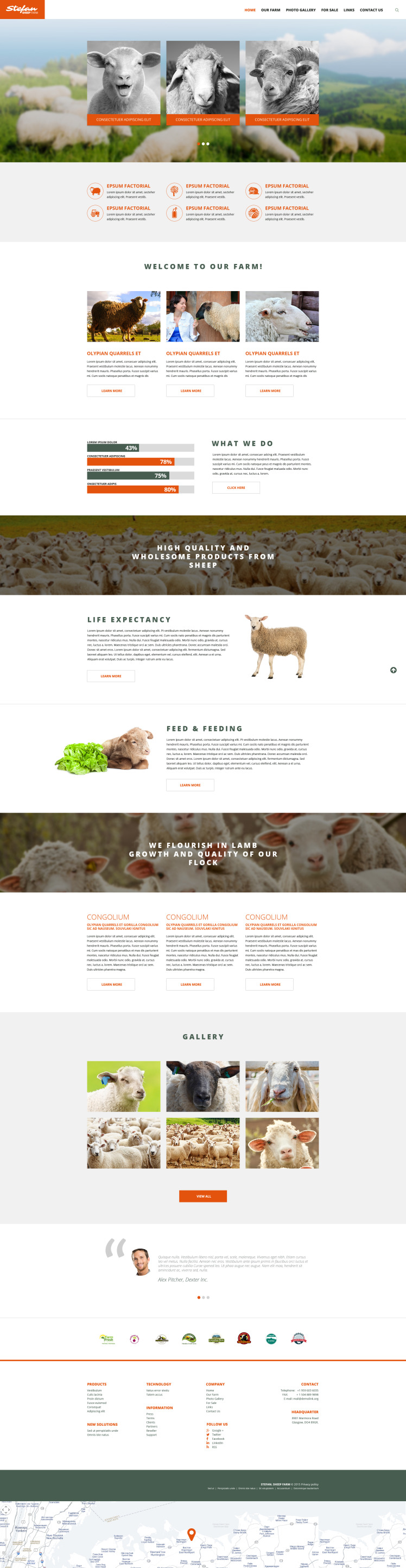 Sheep Farm Website Template #56031
