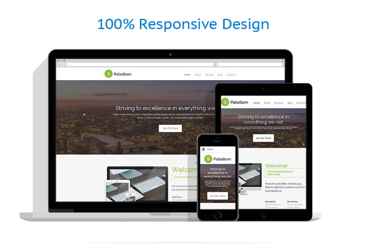 Web Development Responsive Website Template #57862