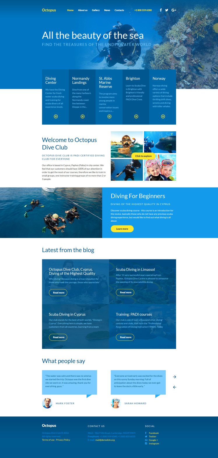 Diving Responsive Website Template #58099