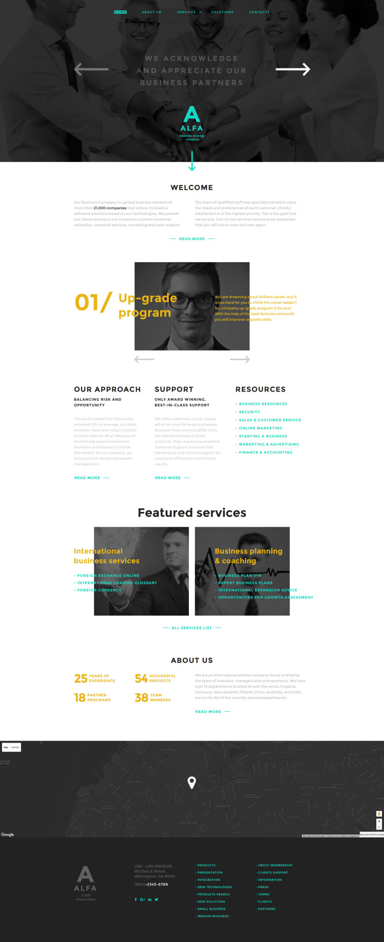 Alfa Website Template #58275