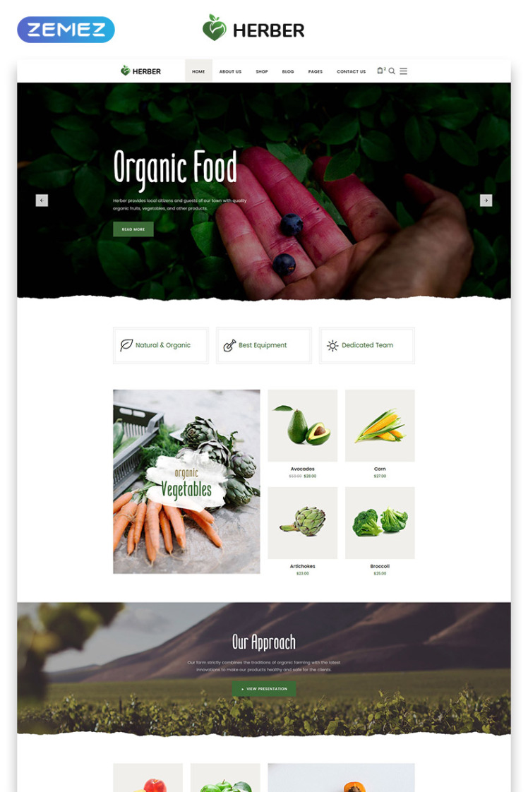 Herber - Accurate Organic Food Online Store Website Template #58411