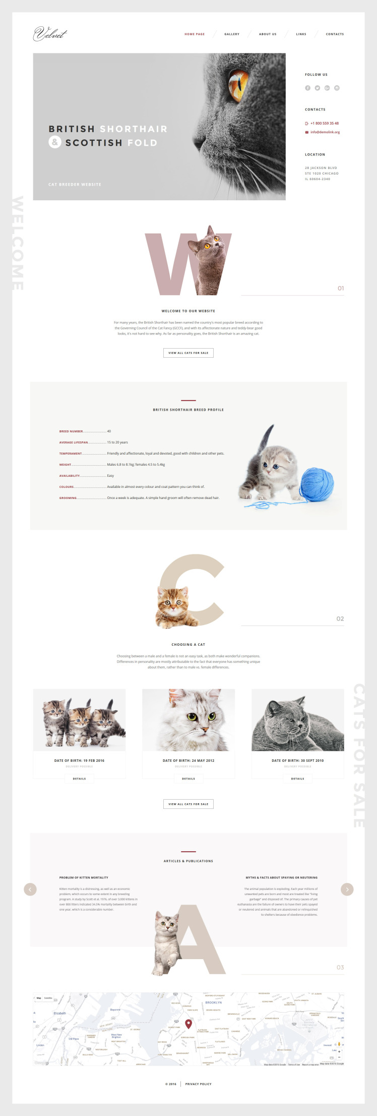 Cat Responsive Website Template #58574