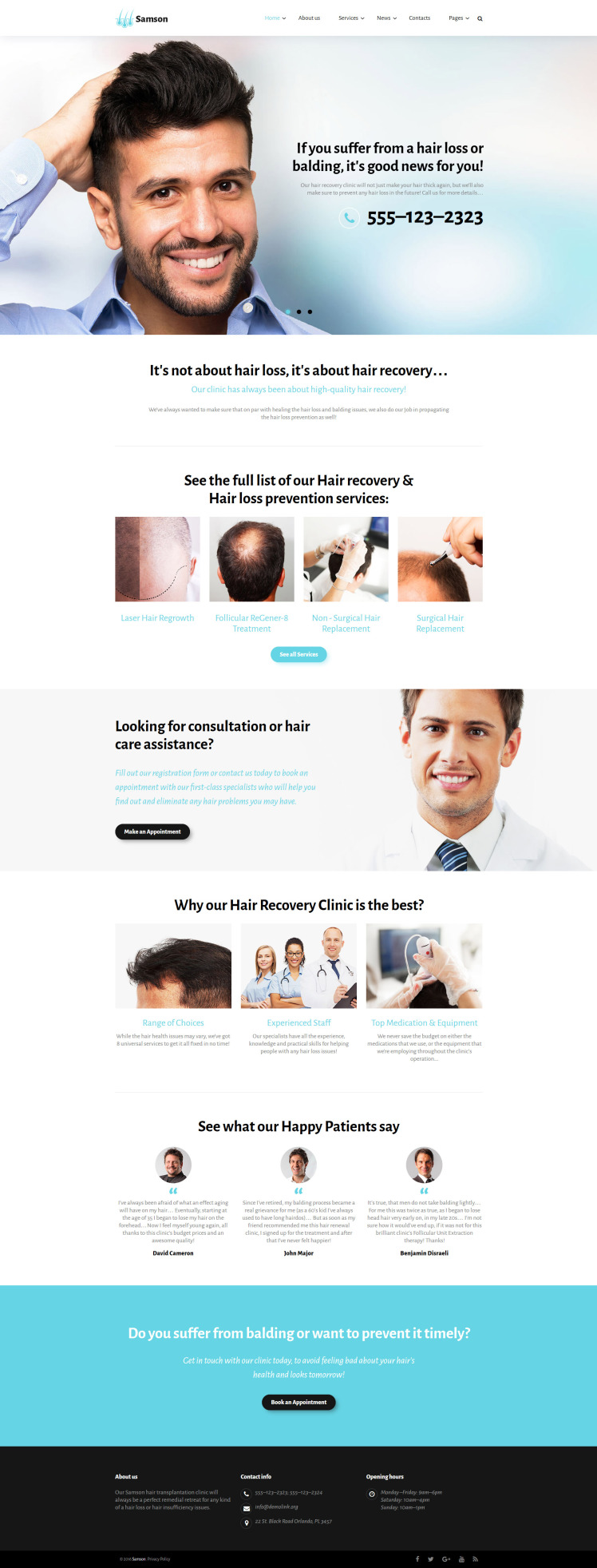 Samson Website Template #60022