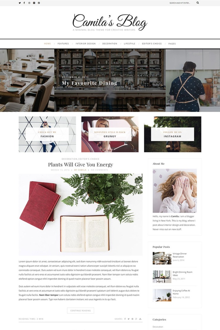 Camila - Minimal Blog WordPress Theme #65636