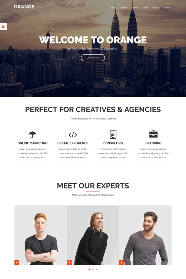 Orange - One Page Bootstrap Website Template #65911