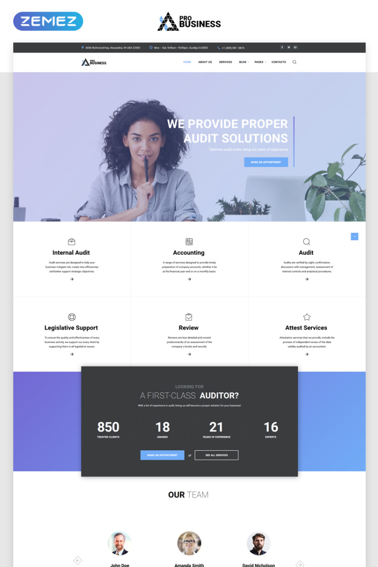 proBusiness - Elegant Audit Company Multipage HTML Website Template #68306