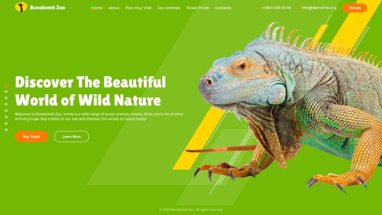 Bonobomb - Full Animated Zoo Website Template #94575