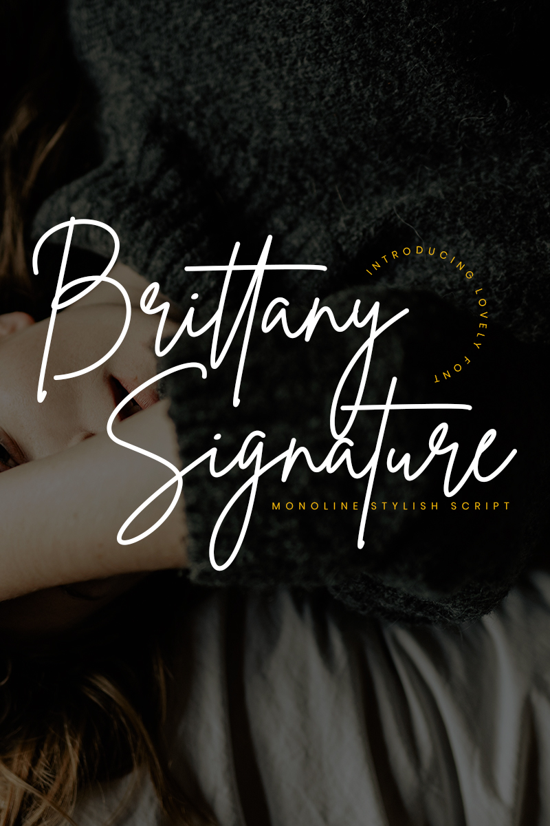 Download Brittany Signature Cursive Font - Шрифт на тему графика