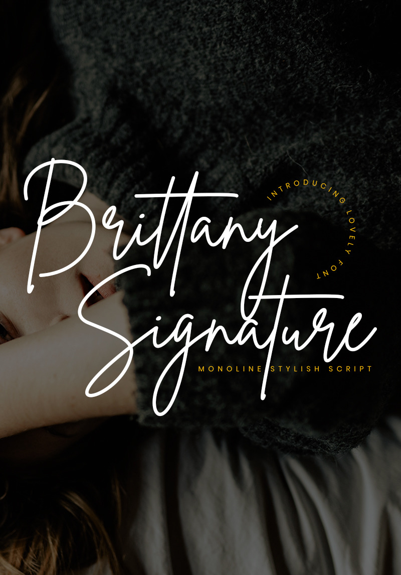 Brittany Signature Script Font #76895