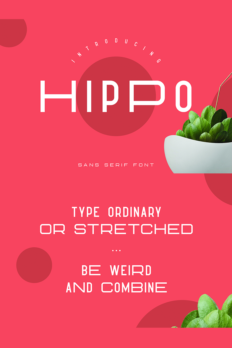 Hippo Font #77888
