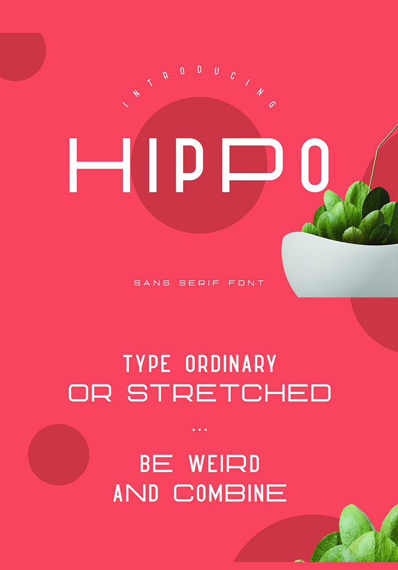 Hippo Font #77888