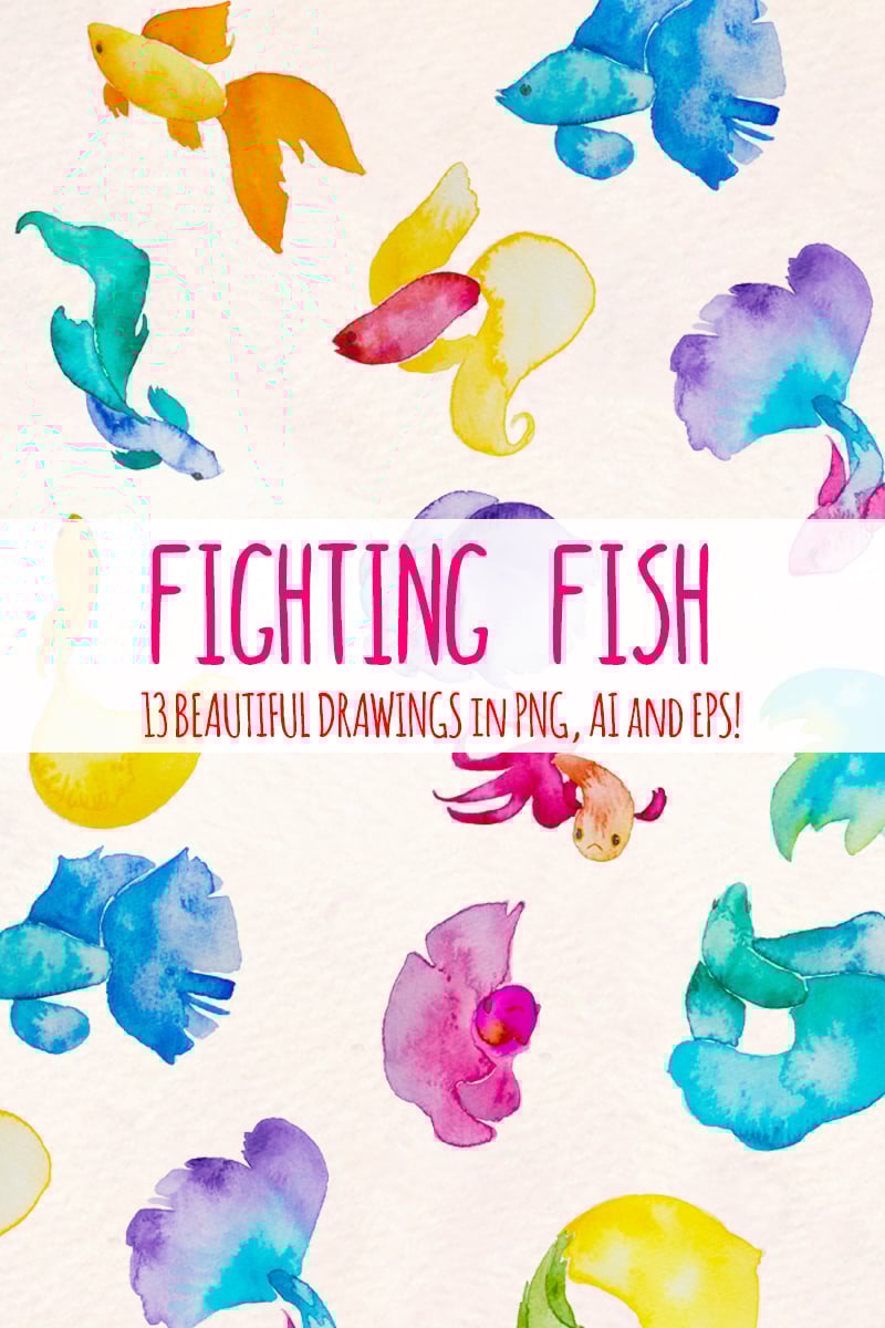 13 Beta Fish Elements Illustration #79664