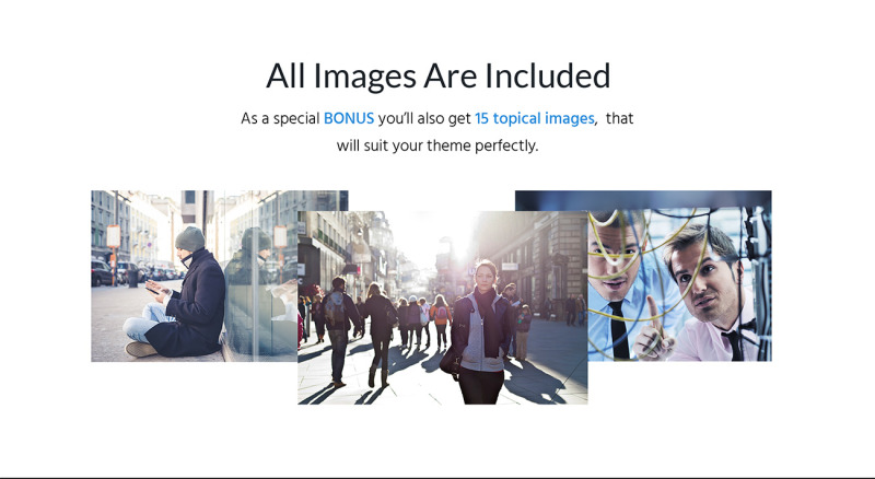 Consulting Company WordPress Theme