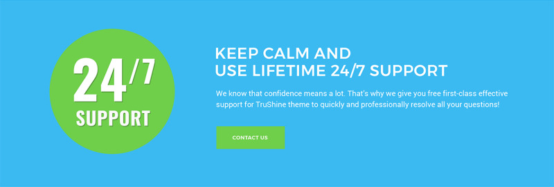 TruShine Laundry Service WordPress Theme - TemplateMonster