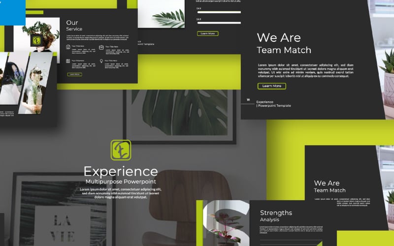 Experience Presentation PowerPoint template - TemplateMonster