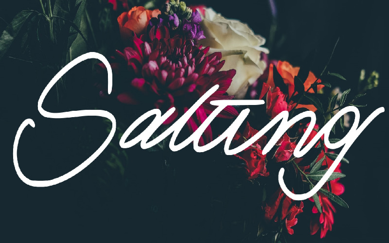 Salting Font #112628 - TemplateMonster